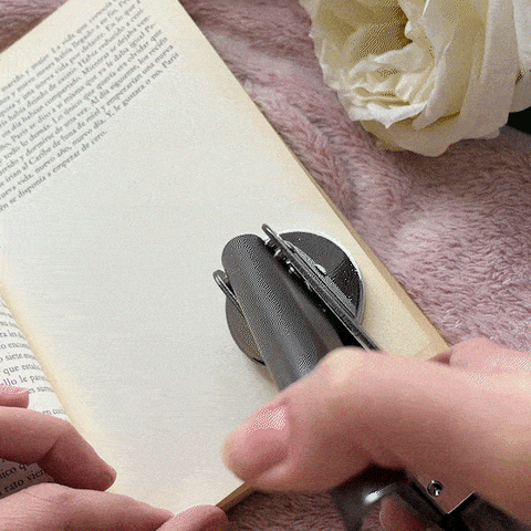 Custom Book Embosser – The Whispering Pages